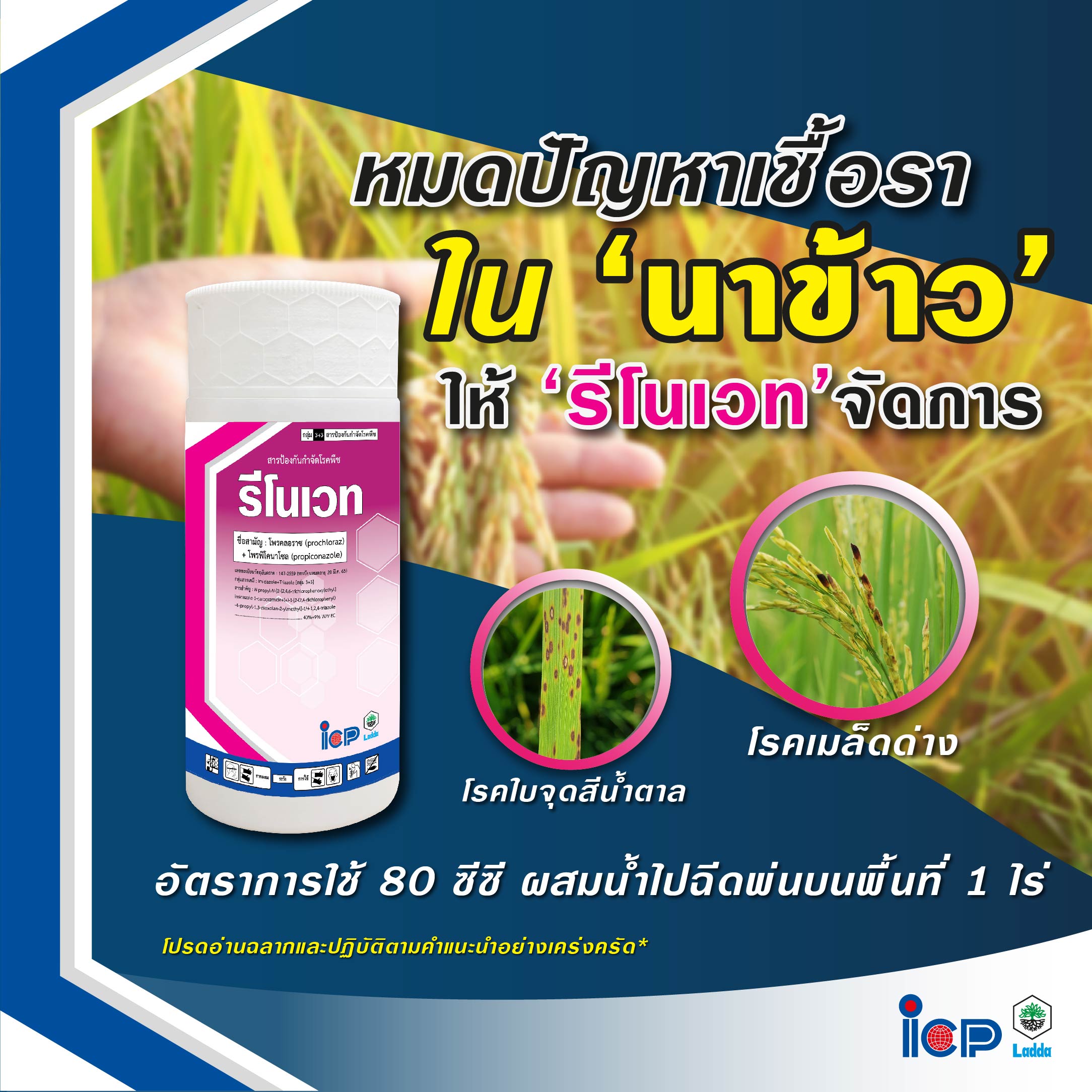 หมดปัญหาเชื้อราในนาข้าว ให้รีโนเวทจัดการ I ICP LADDA